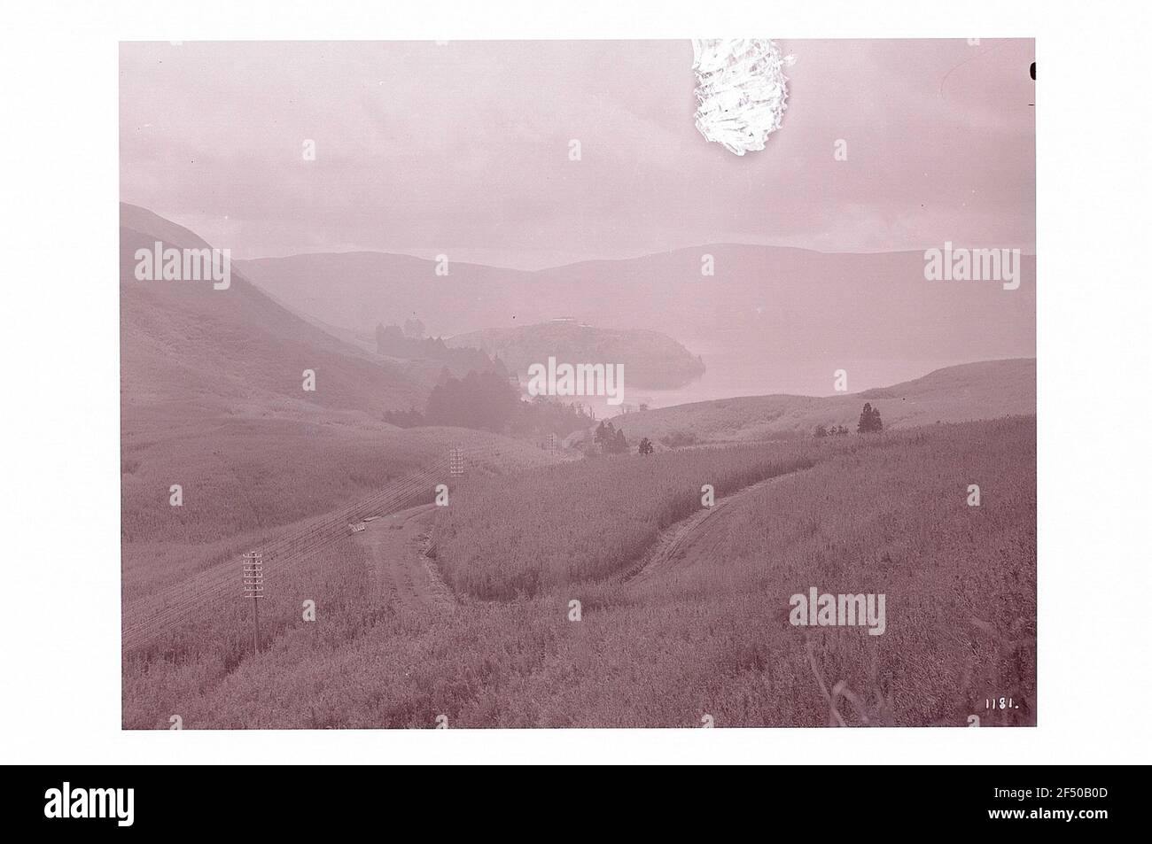 Scenic view park lake Cut Out Stock Images & Pictures - Alamy