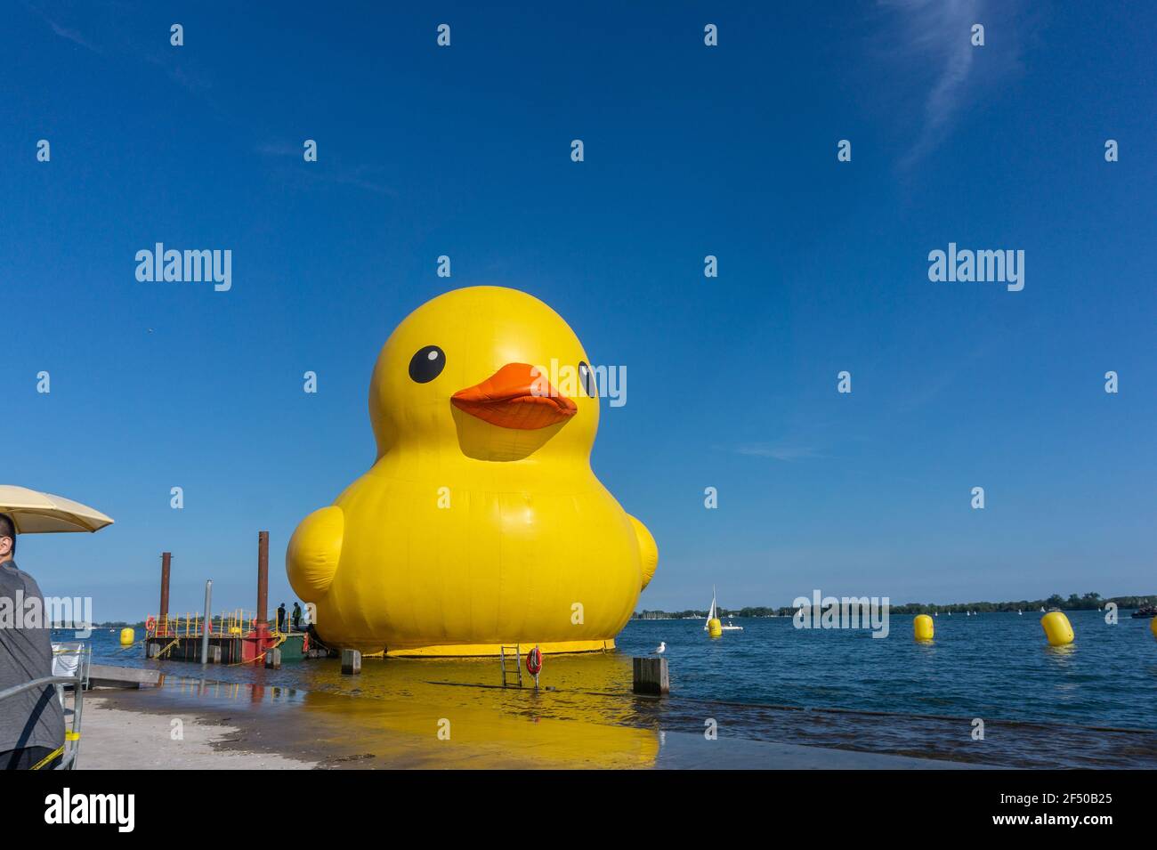 Giant rubber duck toronto hi-res stock photography and images - Alamy