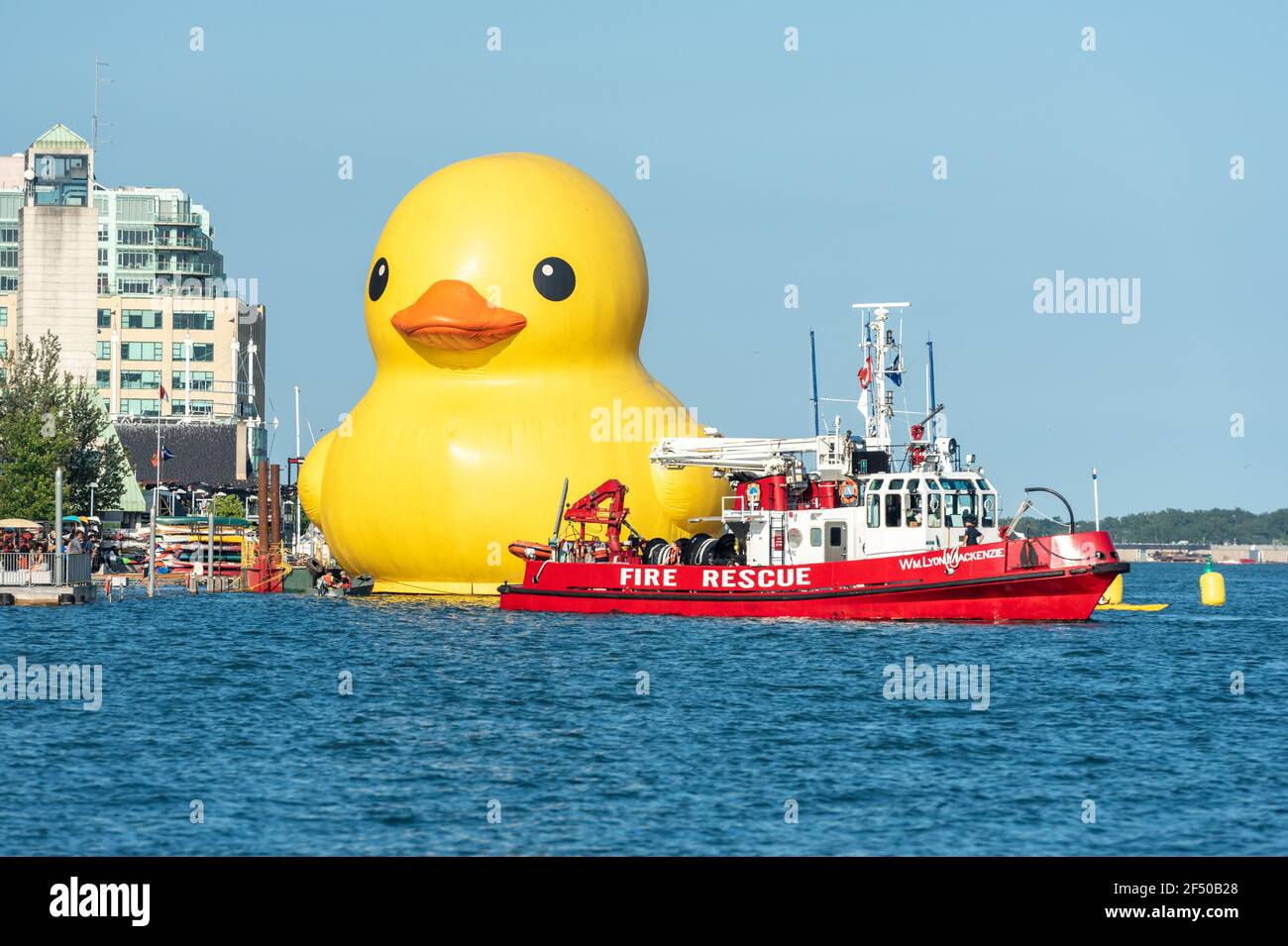 Giant Rubber Duck to Celebrate Canada's 150th Anniversary, Toronto ...