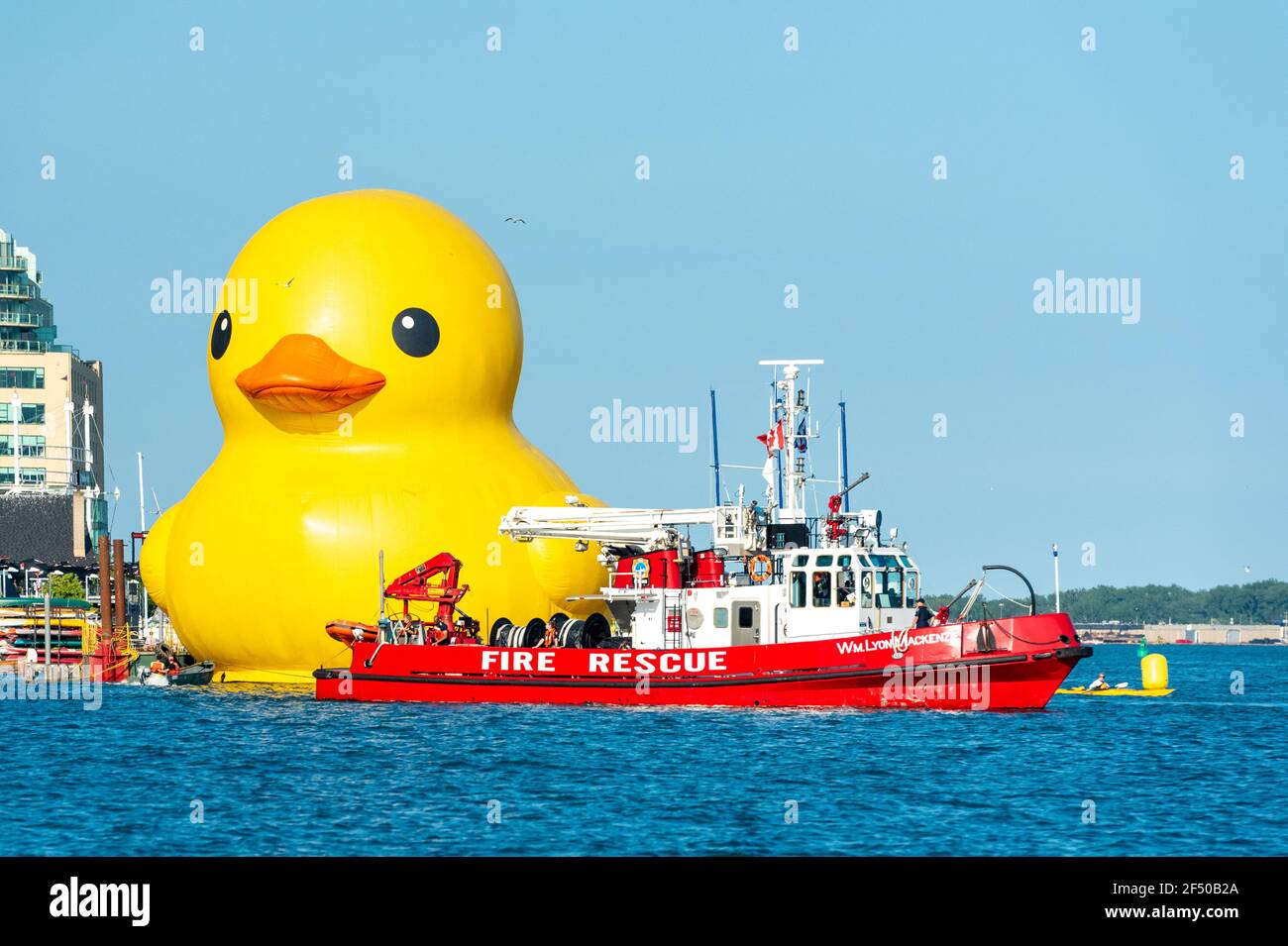 Giant Rubber Duck to Celebrate Canada's 150th Anniversary, Toronto ...