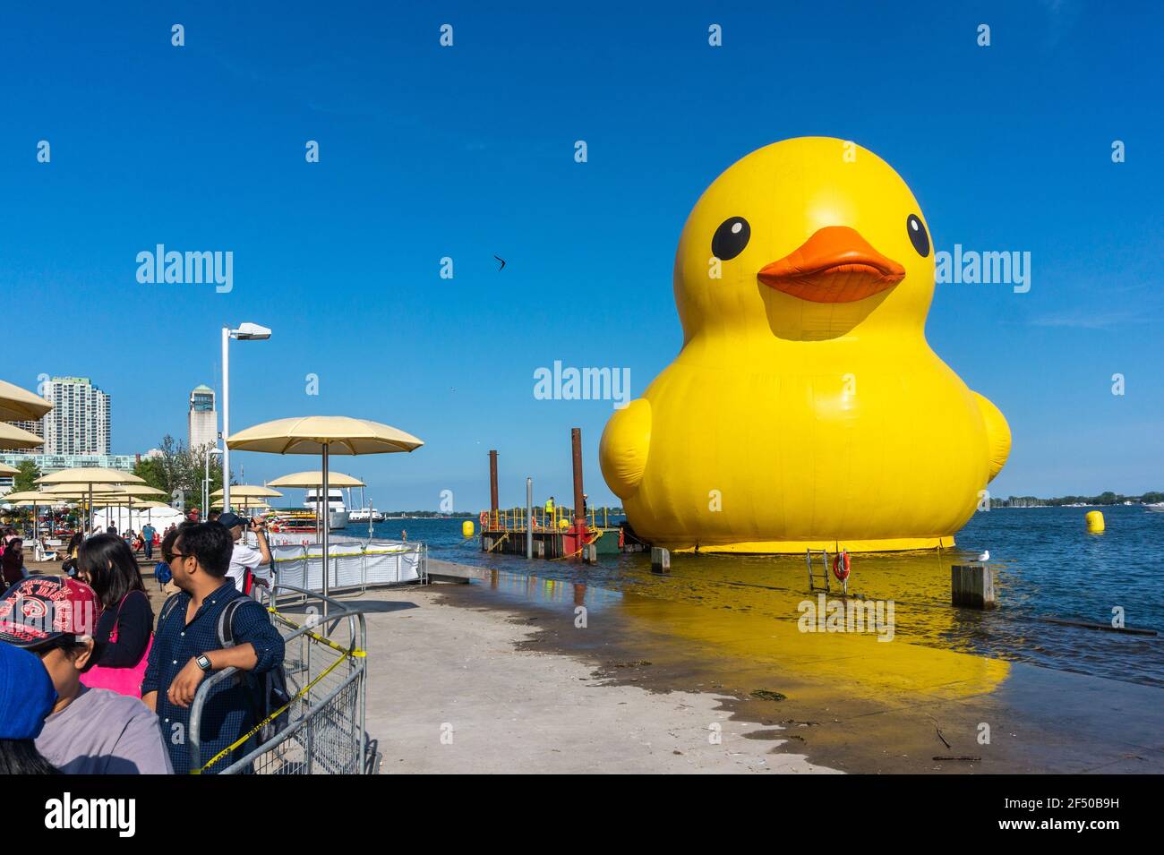 Giant Rubber Duck to Celebrate Canada's 150th Anniversary, Toronto ...