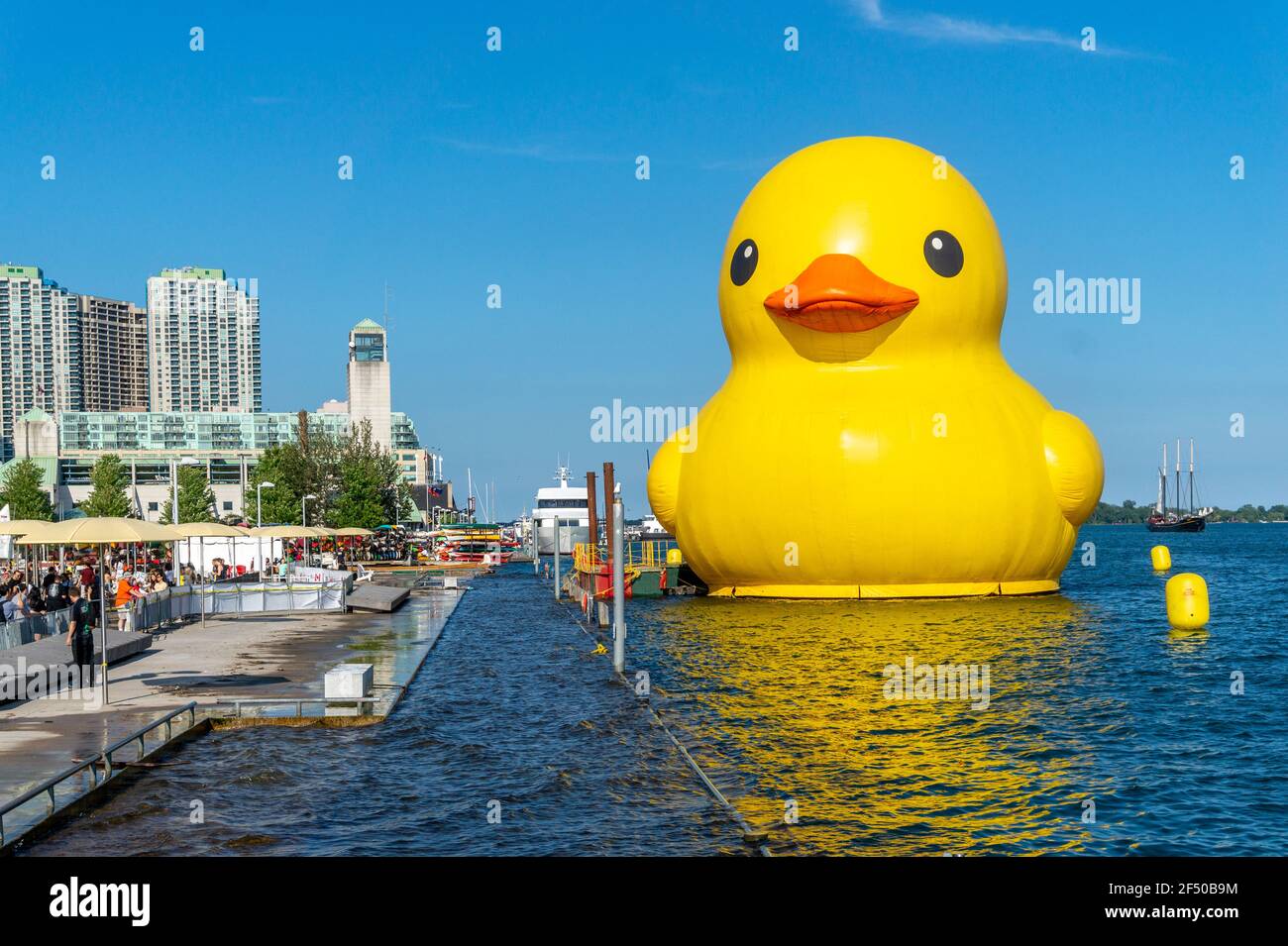 Giant rubber duck toronto hi-res stock photography and images - Alamy