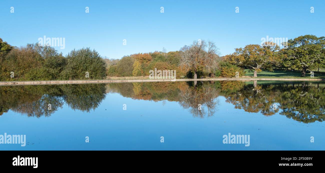 Southampton common pond hi-res stock photography and images - Alamy