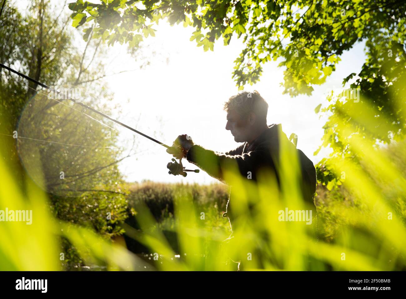 Retirement tree hi-res stock photography and images - Alamy