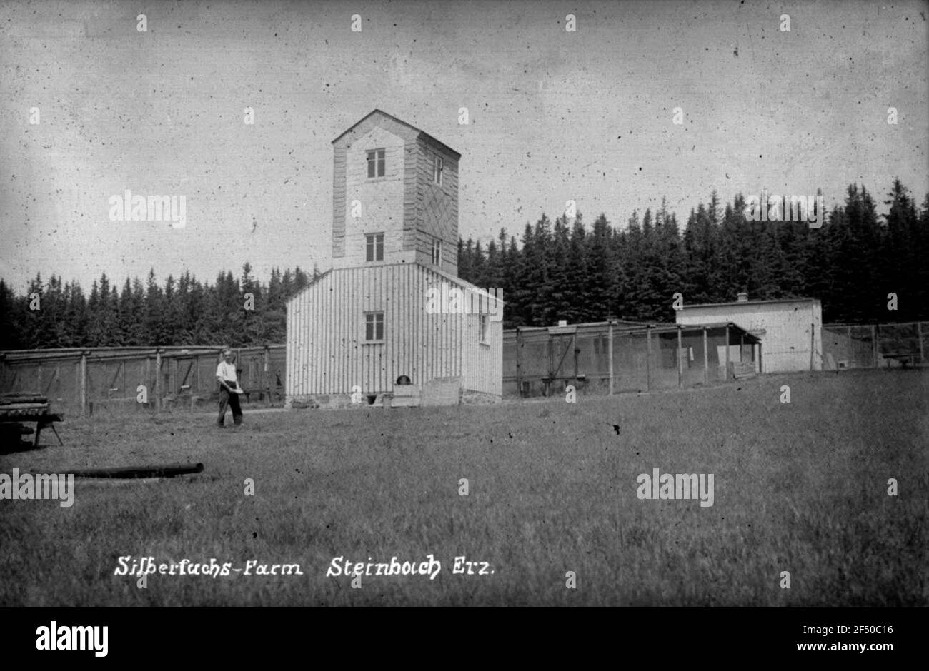Silver fox farm - the first building Stock Photo - Alamy