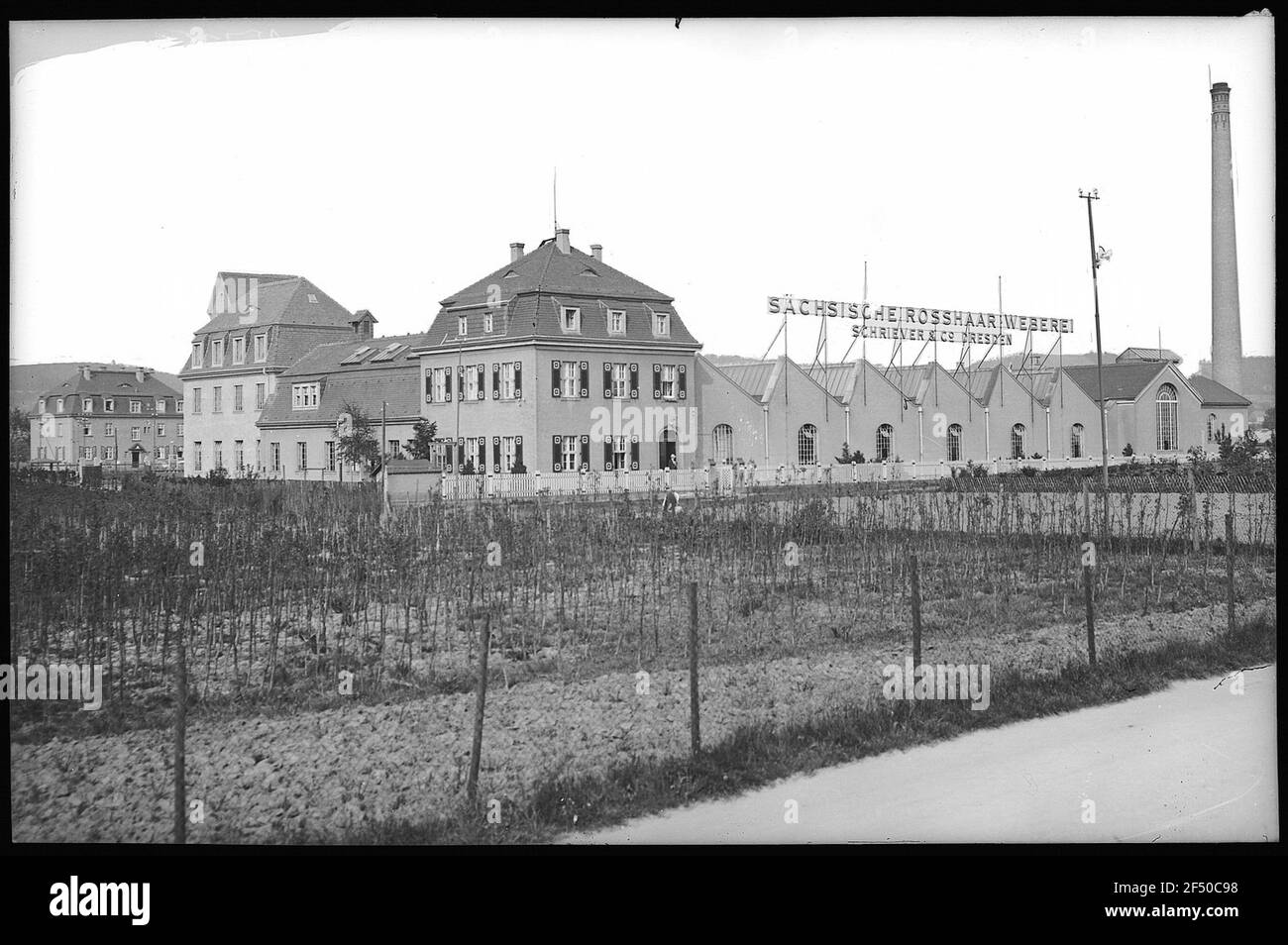 Raid hair hi-res stock photography and images - Alamy