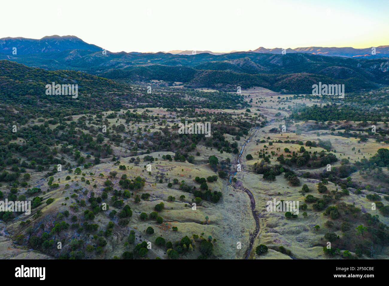 Aerial view of the oak forest in the Matarachi mountains in the ...