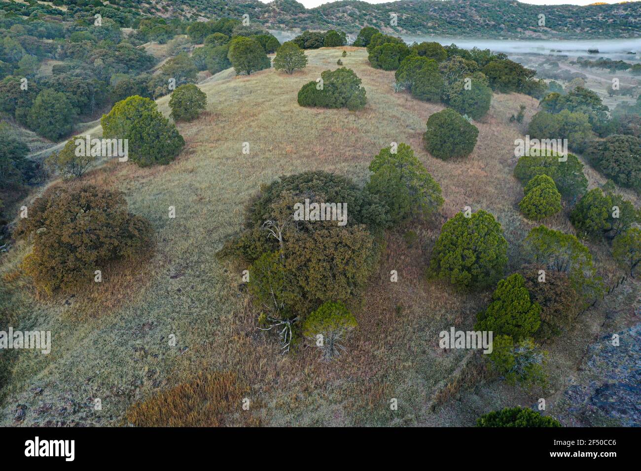 Aerial view of the valley and landscape in Matarachi in the ...