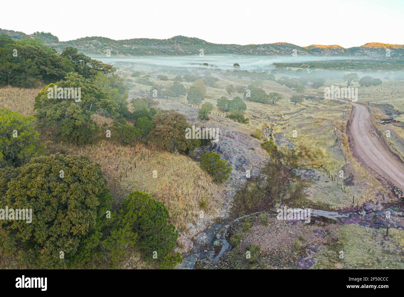 mist in valley of oaks and and pasture in Matarachi in the municipality ...