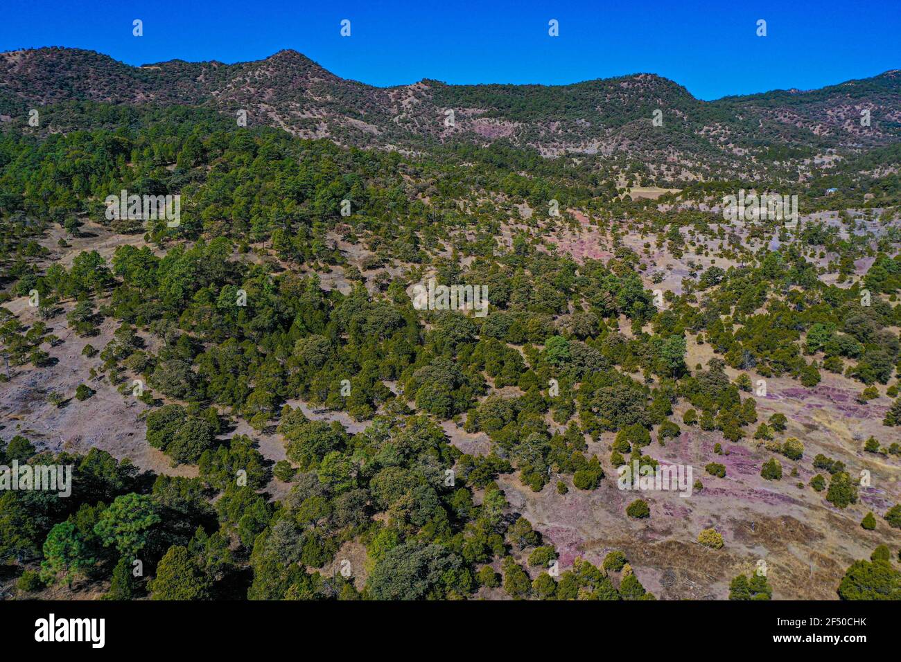 Aerial view of the valley and landscape in Matarachi in the ...