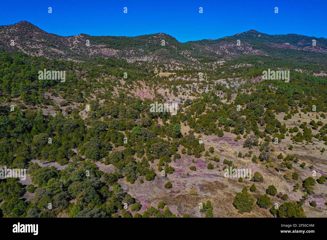 Aerial view of the valley and landscape in Matarachi in the ...