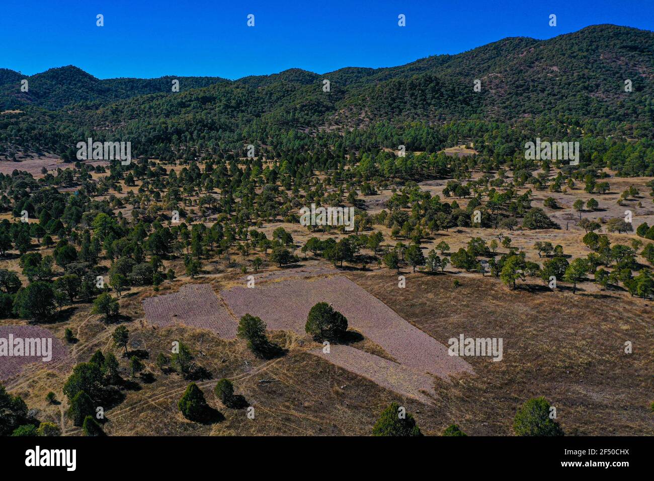Aerial view of the valley and landscape in Matarachi in the ...