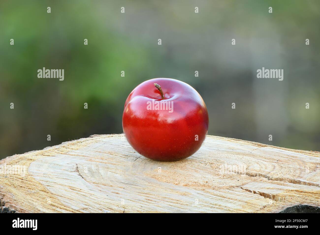 Red plums on wooden stump. High resolution photo Stock Photo - Alamy