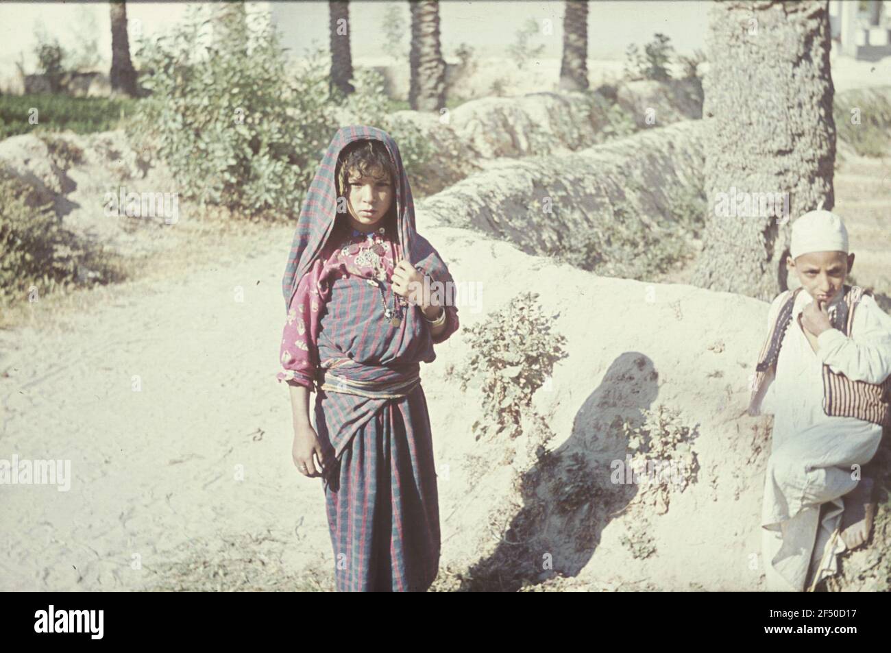 Travel photos. Libya. Tripoli. Two children on a way between palm trees ...