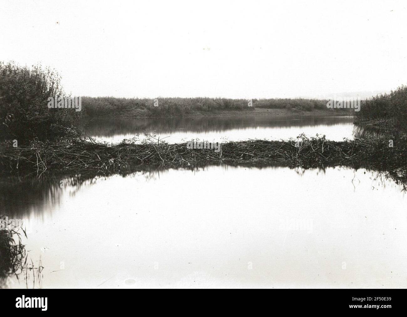 Biberdamm hi-res stock photography and images - Alamy