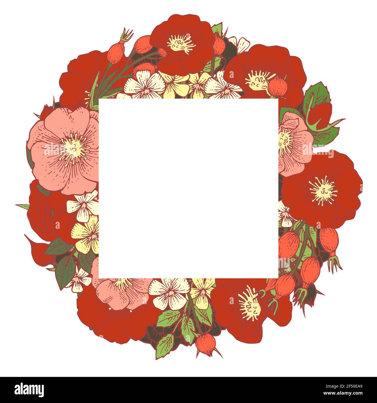 Rosehip flowers. Round frame. Background illustration. Hand drawing ...