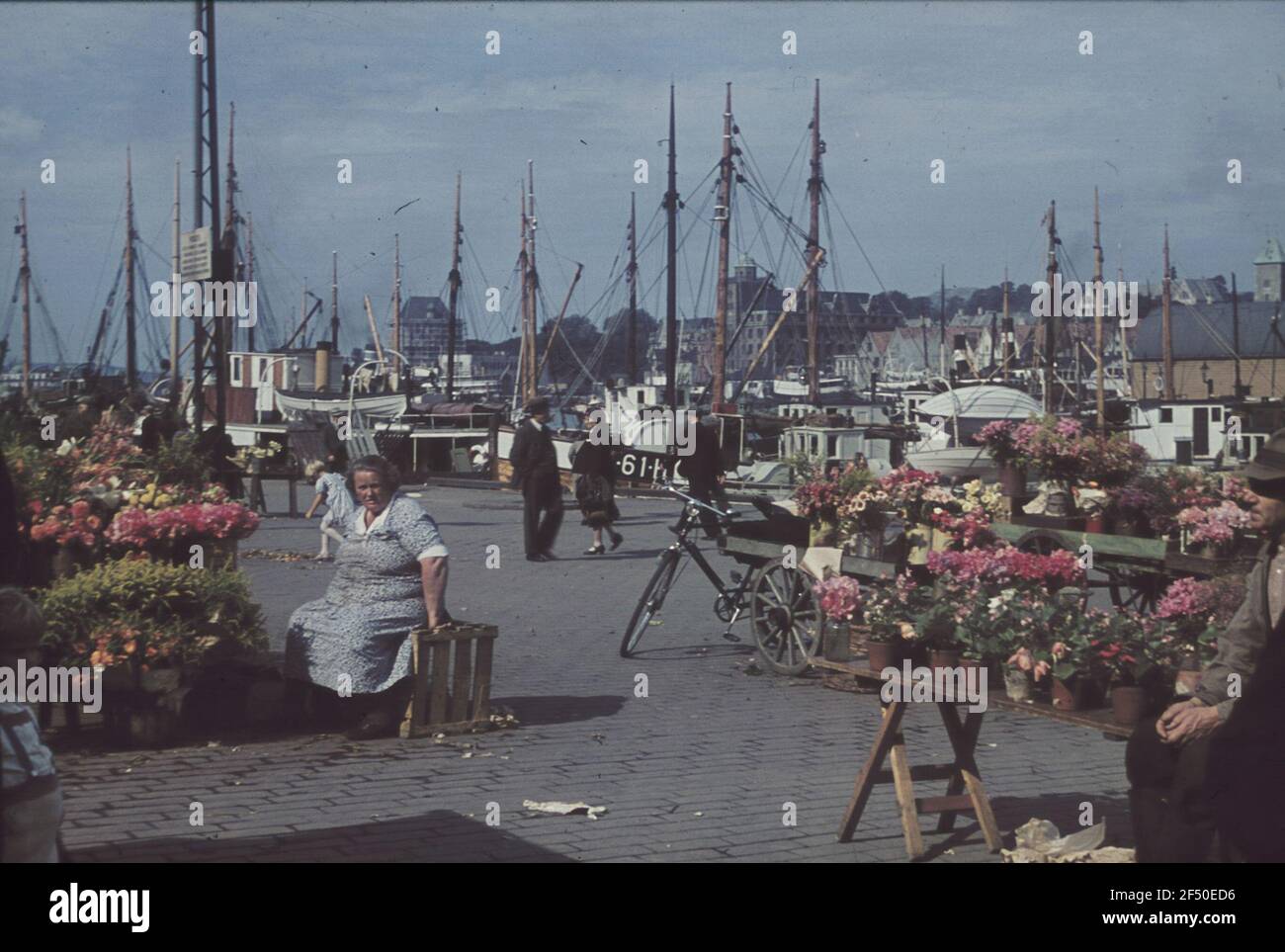 Travel photos Norway. Bergen, flower market in the harbor Stock Photo ...