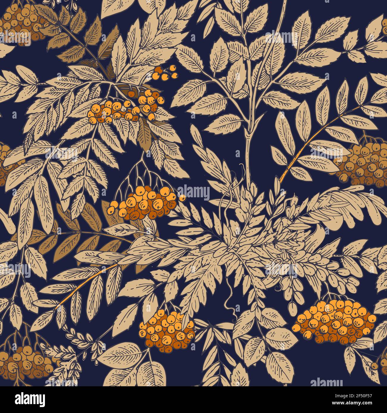 Mountain ash with fruits Stock Vector Images - Alamy