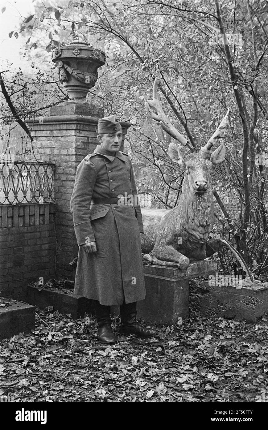 Second World War. Netherlands under German crew. Relatives of the ...