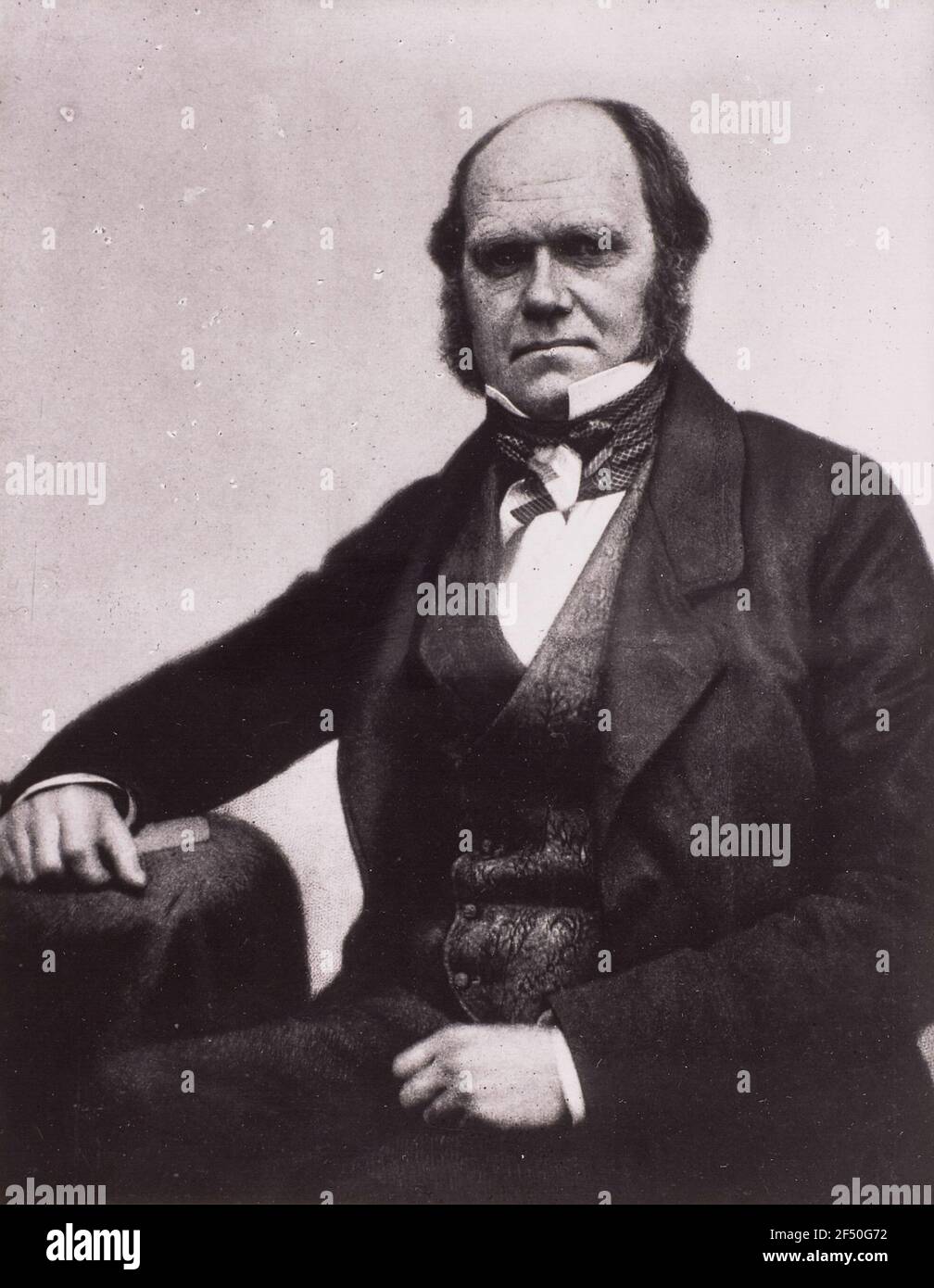 Darwin natural selection hi-res stock photography and images - Alamy