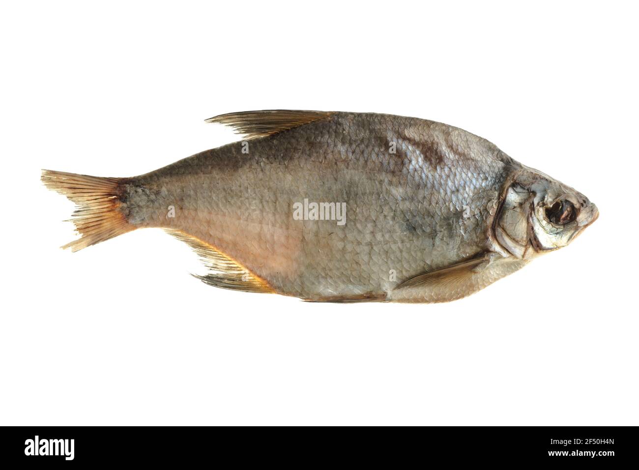Fish, dried bream, on a white background in isolation Stock Photo - Alamy