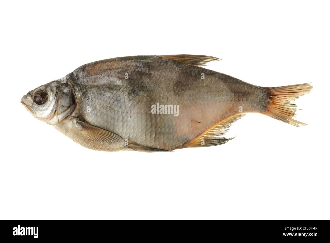 Fish, dried bream, on a white background in isolation Stock Photo - Alamy