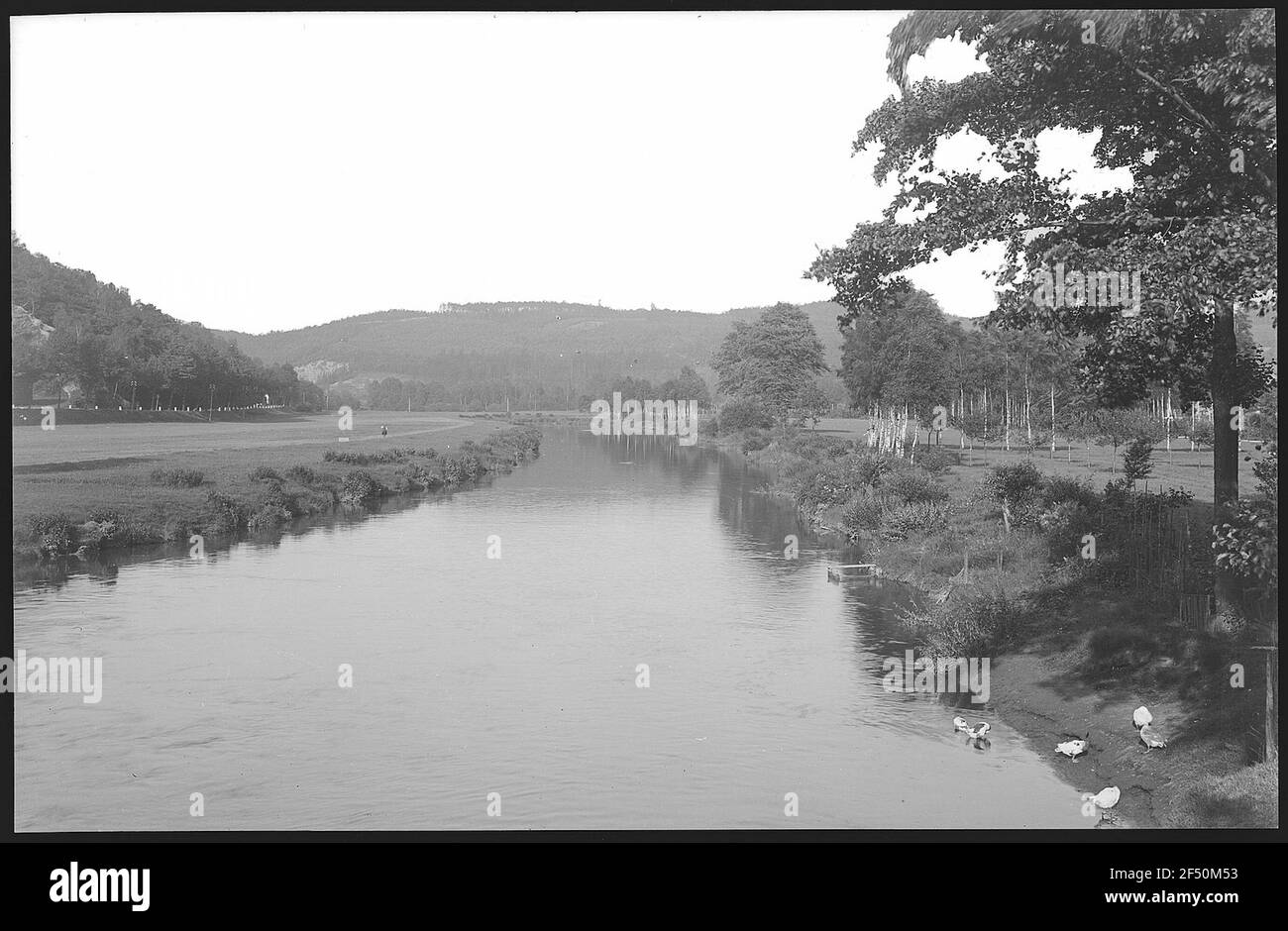 Muldental hi-res stock photography and images - Alamy