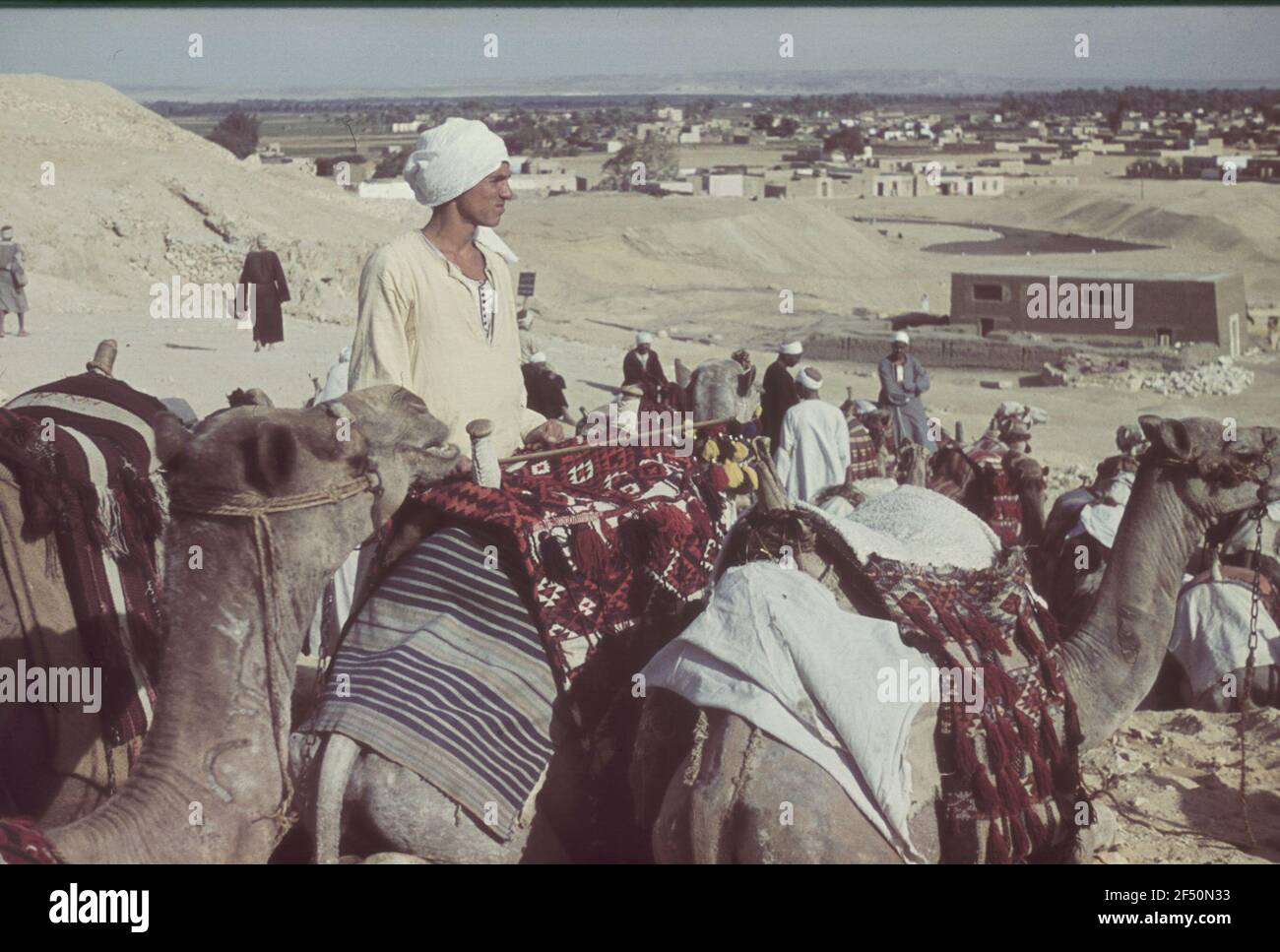 Travel photos Egypt. Camel guide Stock Photo - Alamy
