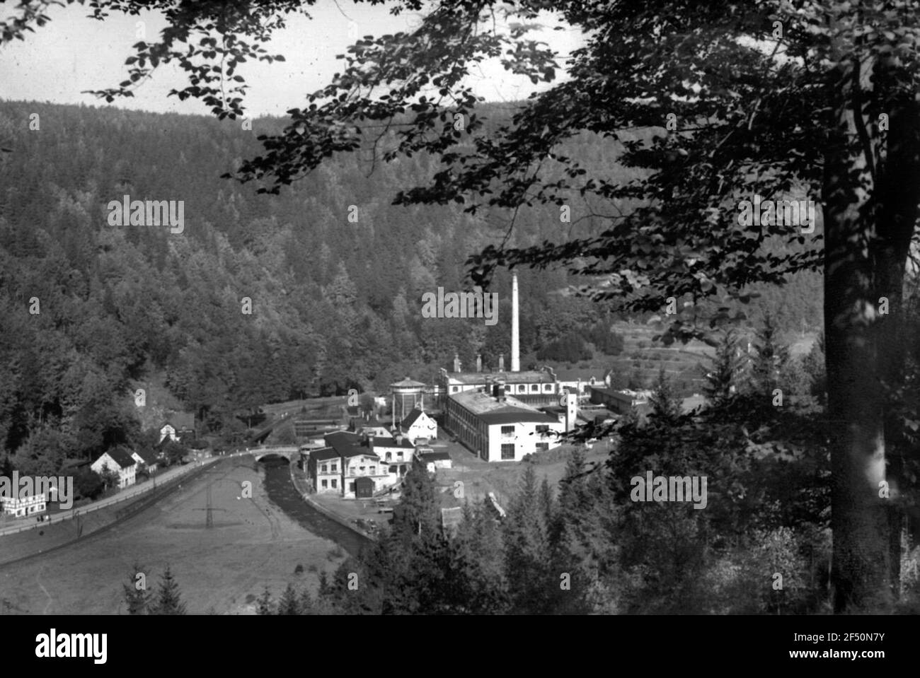 Mushroom business Black and White Stock Photos & Images - Alamy