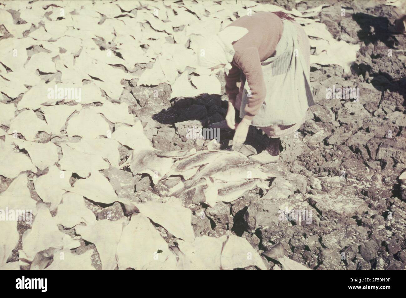 Travel photos Norway. Woman collapsing Stock Photo - Alamy