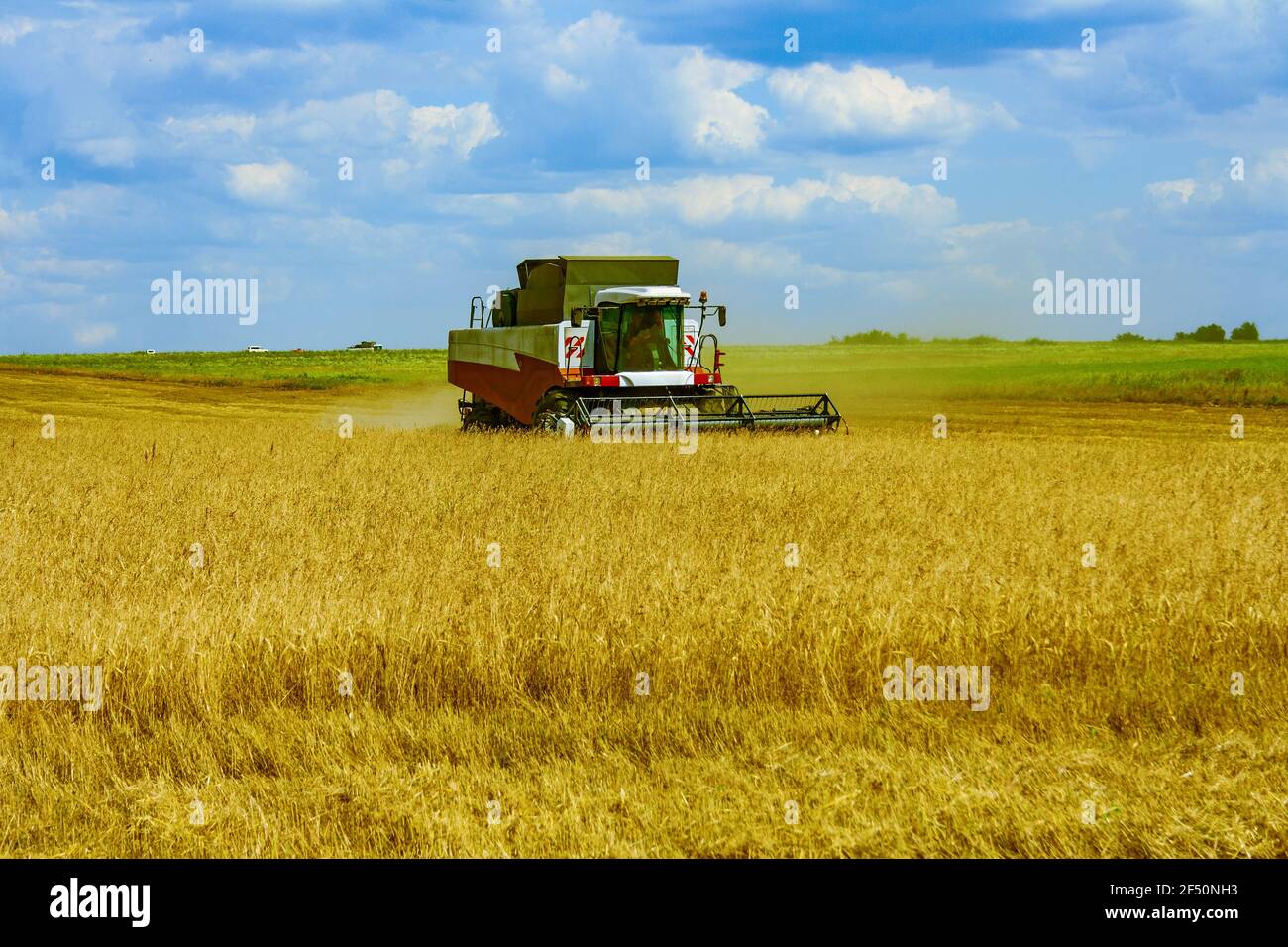 Cleaning wheat hi-res stock photography and images - Alamy
