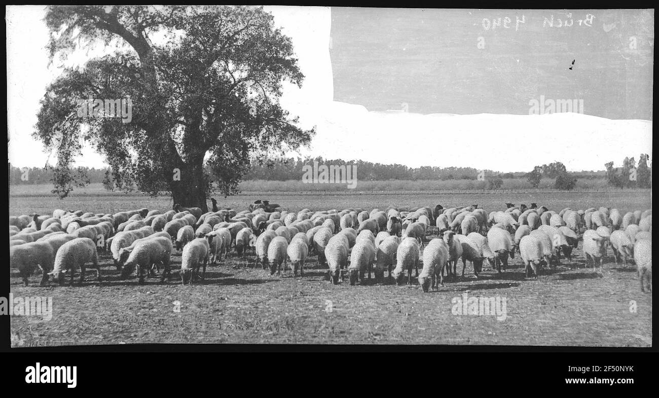 Ranch countryside Black and White Stock Photos & Images - Alamy