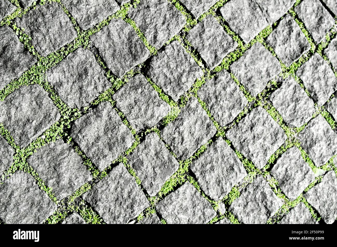 Grass and Stone floor pattern background Stock Photo - Alamy