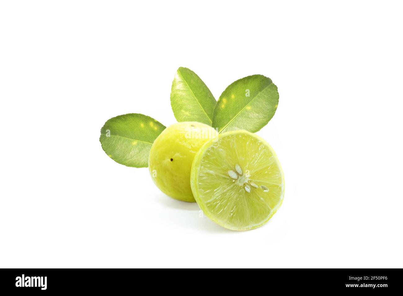 Closeup of juicy cut and whole limes isolated on white background Stock ...
