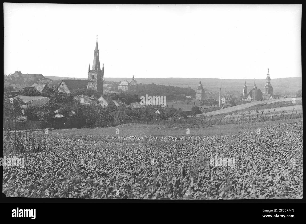 Ice life. View of ice life Stock Photo - Alamy