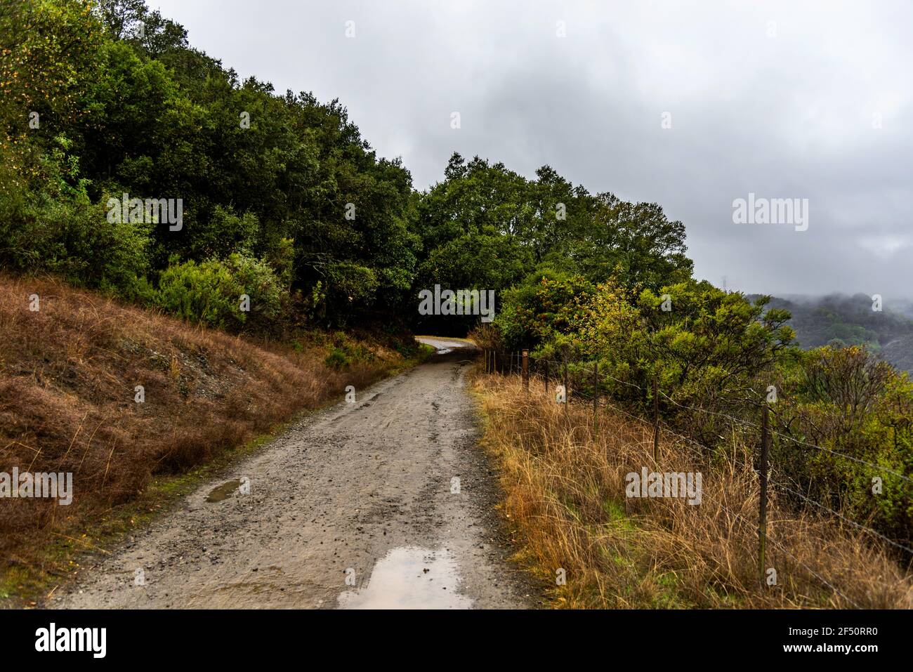 Foggy Mountain Path Stock Photo - Alamy