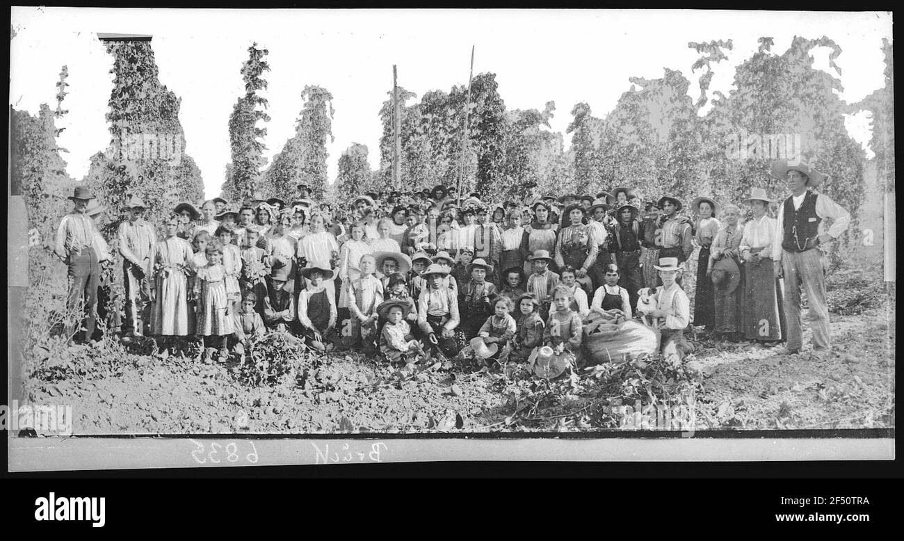 Cal scene Black and White Stock Photos & Images - Alamy