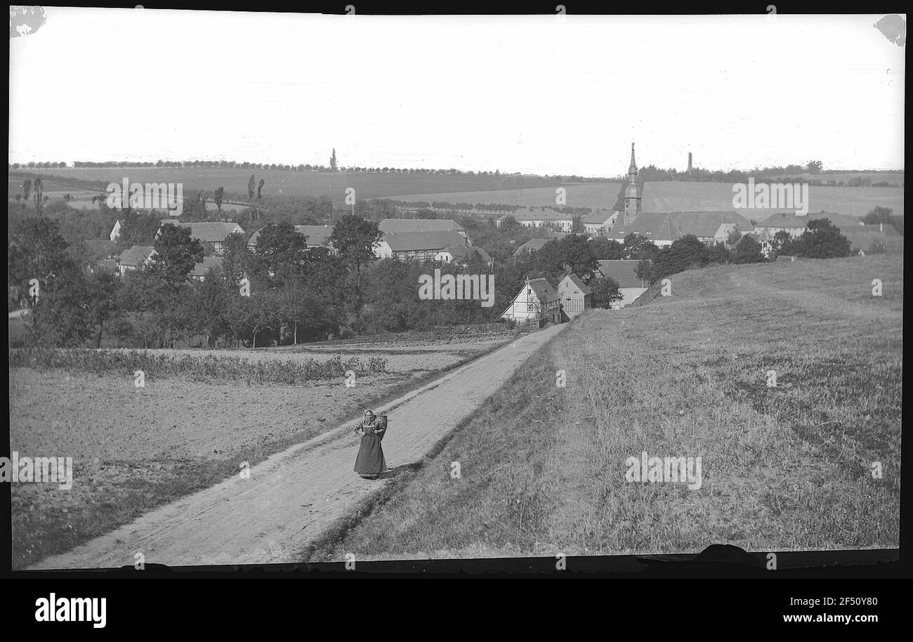 View of goat grove Stock Photo - Alamy