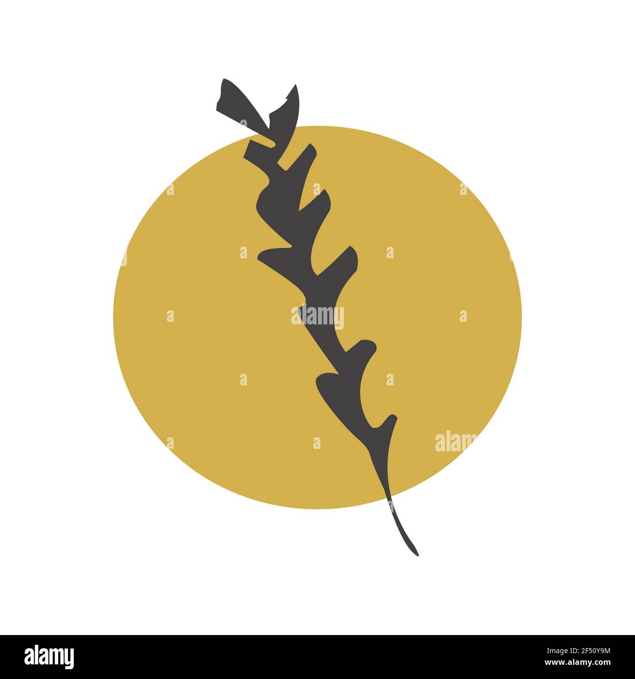 Flower silhouette on round shape. Isolated on white background. Plant ...