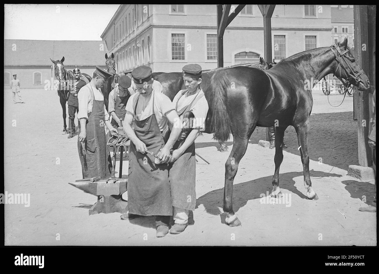 Field horse work Black and White Stock Photos & Images - Alamy