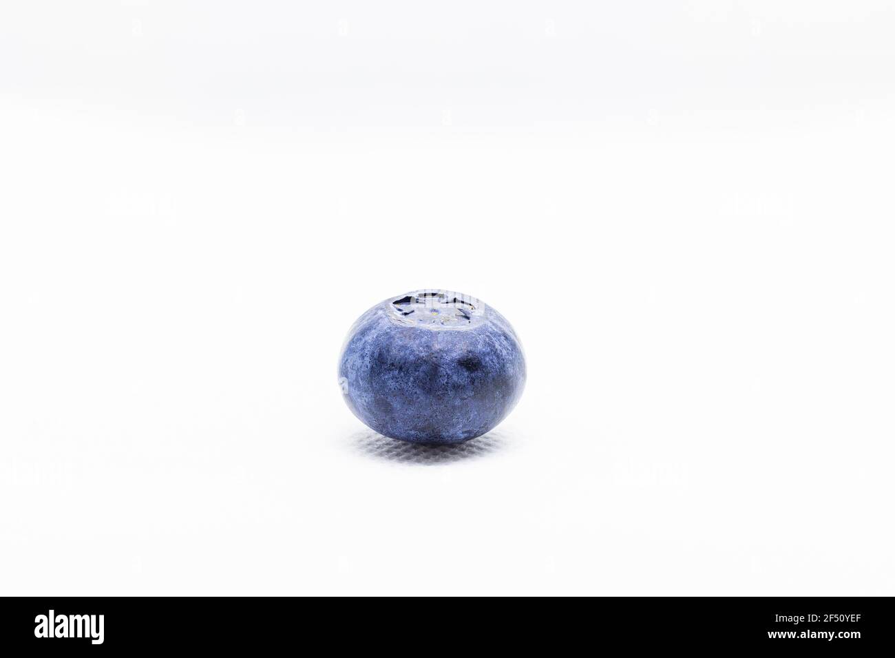 1 isolated blueberry seen from the front on a white background Stock ...