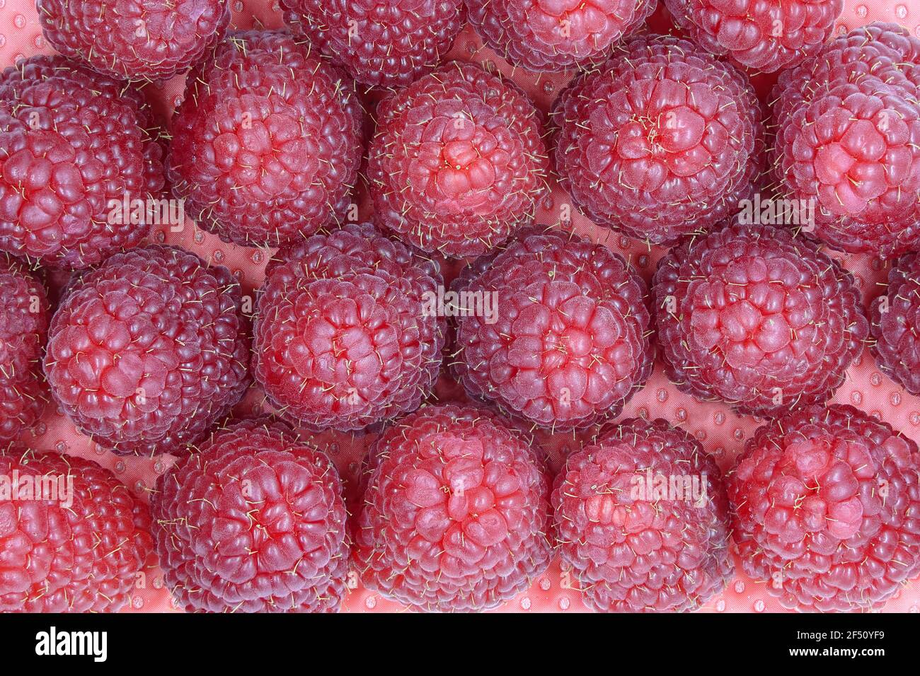Diet seen from above horizontal hi-res stock photography and images - Alamy