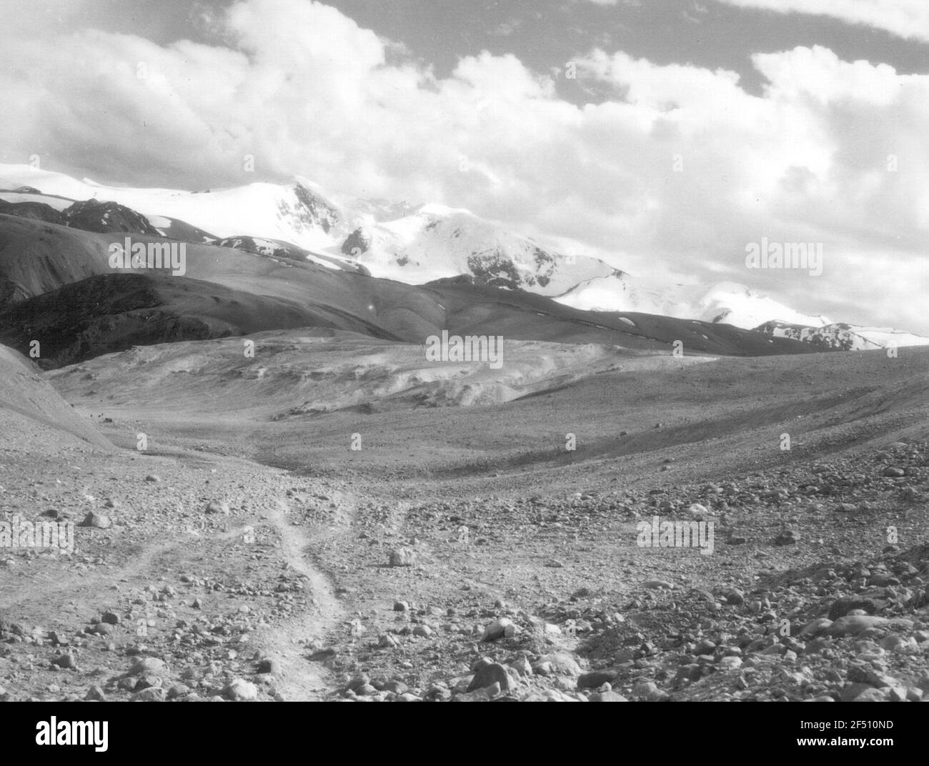 India. Kashmir. Ladakh. Agil-Karakorum. On the Dapsang plateau (5400 m ...