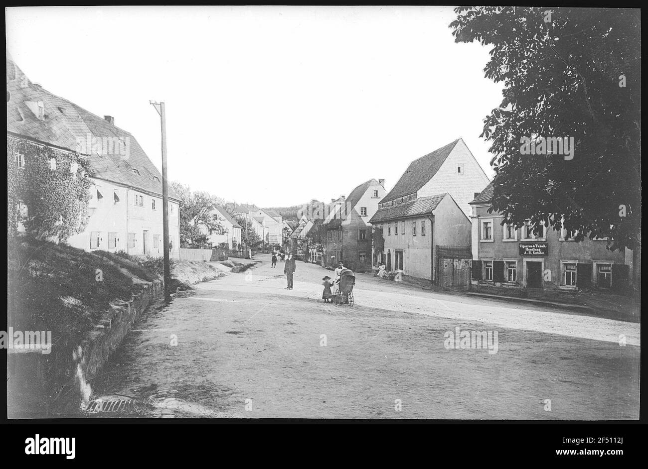 Chestnut deciduous tree Black and White Stock Photos & Images - Alamy