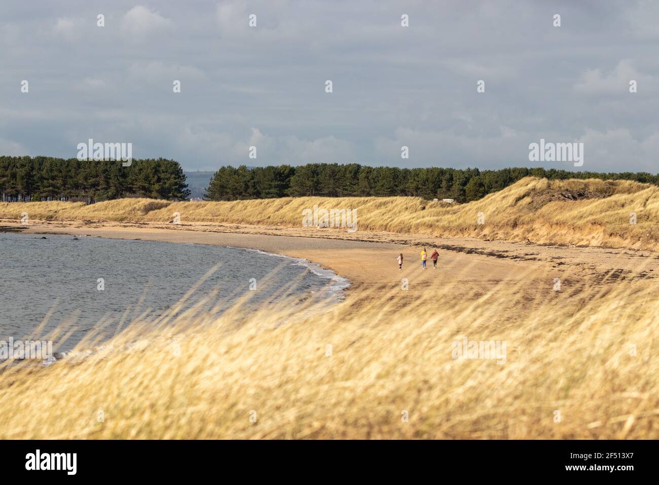 Three people walking on the sandy beach at Shell Bay near Elie, Fife ...
