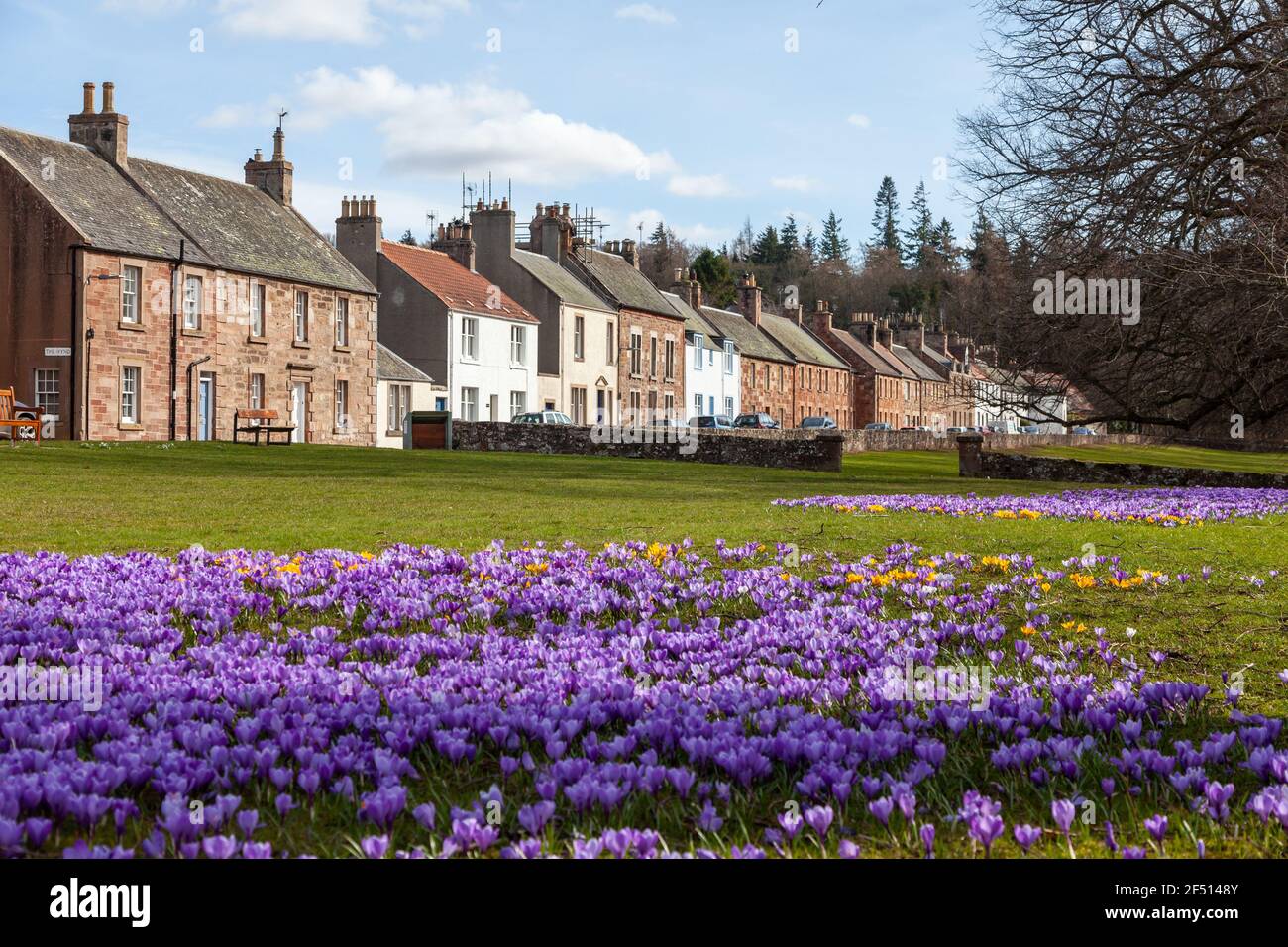 Scottish terrace houses hi-res stock photography and images - Alamy
