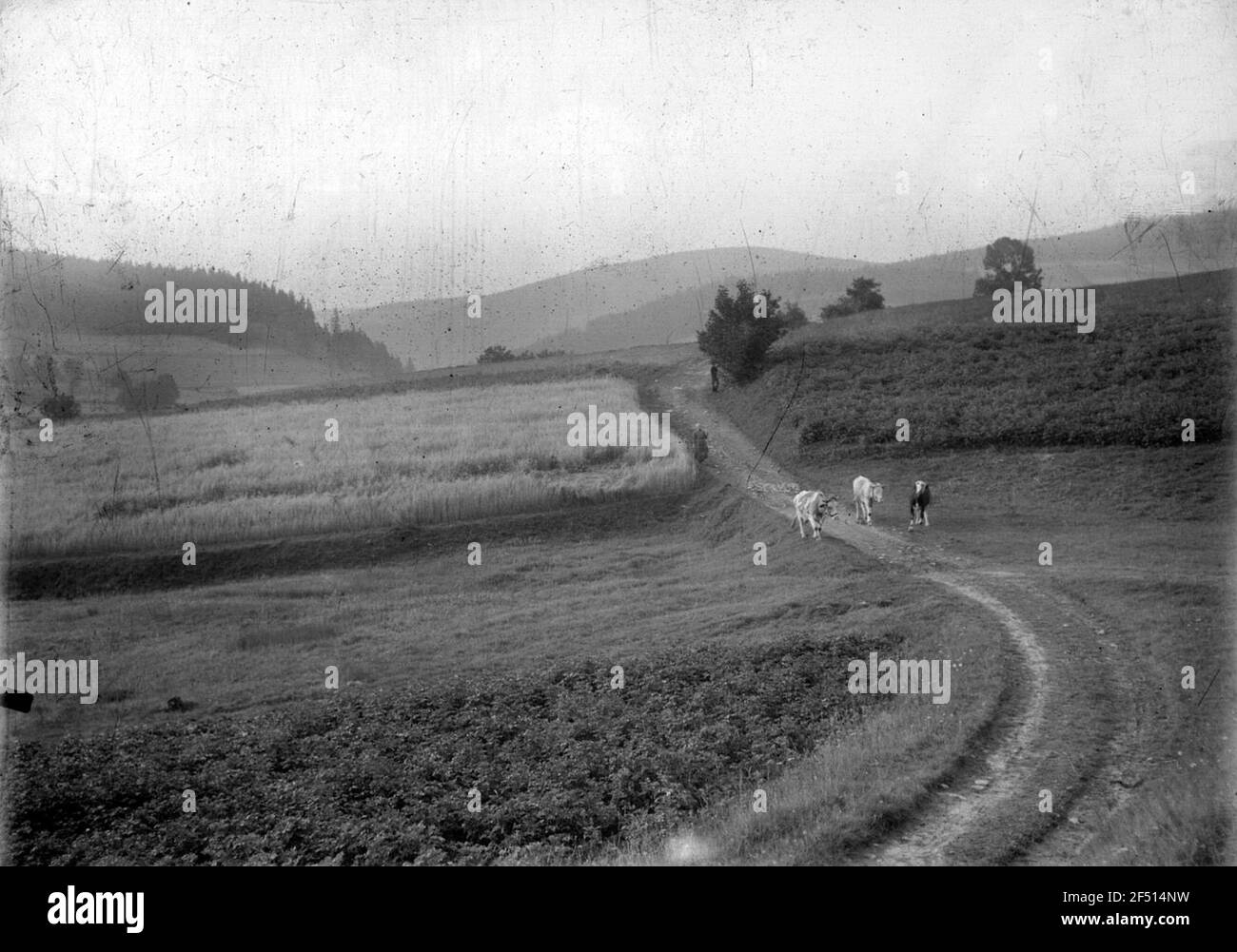 On way back home Black and White Stock Photos & Images - Alamy