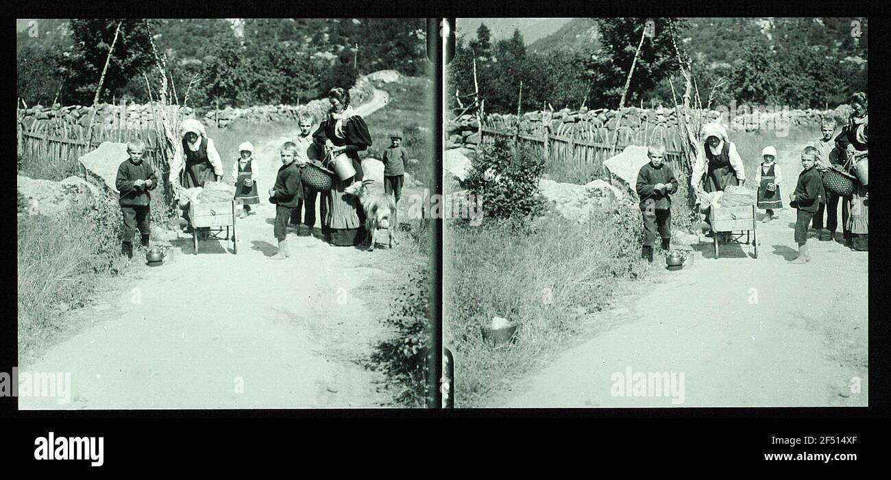 Norway. Locals with carts and goat in countryside. A path is lined with ...