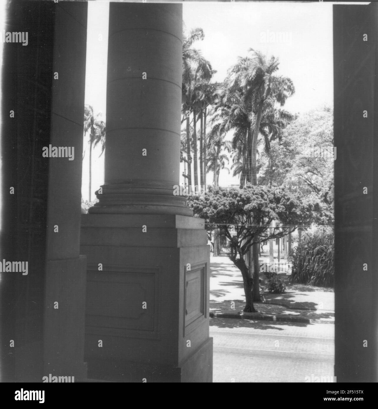 Travel photos Brazil. Pernambuco. View from a portal on a palm enable ...