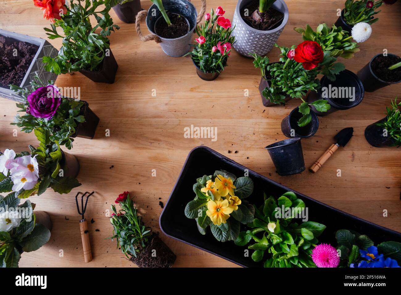Preparation of flowers for decomposition on the balcony Stock Photo - Alamy